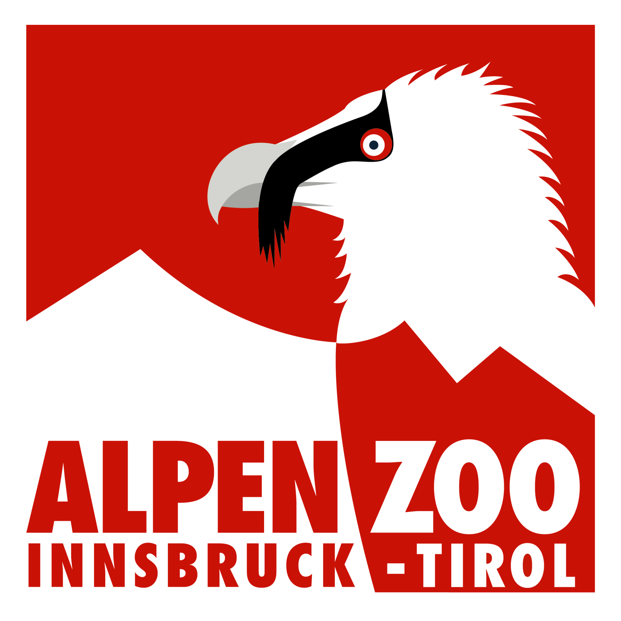 Alpenzoo Steinadler – Majestätischer König der Alpenluft